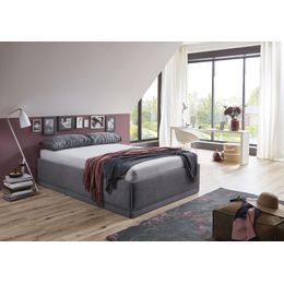 Polsterbett, B:146cm H:42cm L:206cm, grau, Westfalia Schlafkomfort, Bezug Bett: Veloursstoff 100% Polyester oder Microfaser (100%