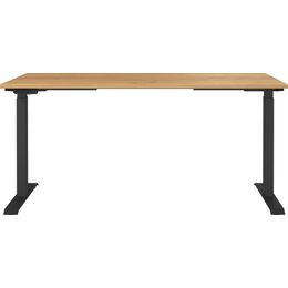 Schreibtisch Germania, B:160cm H:72cm T:80cm, braun, B&uuml;ro, Tische, "Jet, elektrisch h&ouml;henverstellbar", moderne Farbvariationen, Breite
