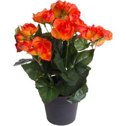 Kunstblume BOTANIC-HAUS, B:18cm H:26cm T:18cm &Oslash;:18cm, orange, Kunststoff, Kunstpflanzen, "Begonienbusch mit 7 Stielen"