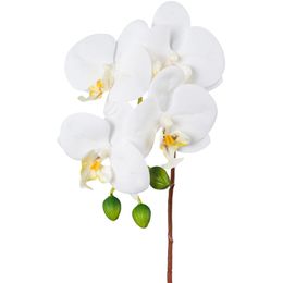 Kunstorchidee Creativ green, H:44cm, wei&szlig;, Kunstpflanzen, "Orchidee Phalaenopsis", mit real-touch-Bl&uuml;ten