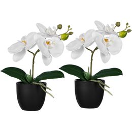 Kunstorchidee Creativ green, H:23cm, wei&szlig;, Kunststoff, Kunstpflanzen, "Orchidee Phalaenopsis", mit naturgetreuen Bl&uuml;ten