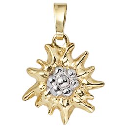 Jobo Damen Kettenanh&auml;nger "Anh&auml;nger Edelwei&szlig;", Gelbgold 333, gold, Gelbgold 333, Schmuckanh&auml;nger, 333 Gold bicolor
