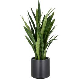 Kunstpflanze Creativ green, H:105cm, gr&uuml;n, Kunststoff, Kunstpflanzen, "Sansevieria zeylanica", im eleganten Topf