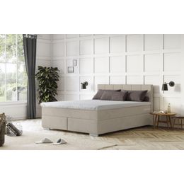 Boxspringbett COTTA, L:209cm, grau, Polyester, Komplettbetten, "Simba", Topseller wahlweise mit oder ohne Matratze und Topper bestellbar