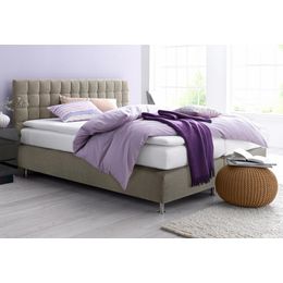 Boxspringbett, B:175cm L:210cm, beige, Westfalia Schlafkomfort, Microvelours (100% Polyester);Strukturstoff (77% Polyester und 23%