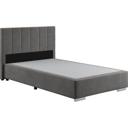 Boxspringbett COTTA, L:209cm, grau, Polyester, Komplettbetten, "Simba", Topseller wahlweise mit oder ohne Matratze und Topper bestellbar