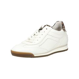 Gabor Damen Sneaker "Gabor Sneaker Glattleder", Gr. 38, wei&szlig;, Glattleder, Schuhe