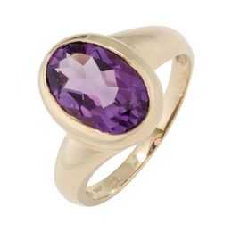 Jobo Damen Goldring, 52, Gelbgold 585, gelb, Gelbgold 585, Fingerringe, 585 Gold mit Amethyst