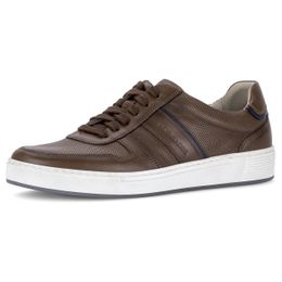 Pius Gabor Herren Sneaker, Gr. 7, braun, Nappaleder, Basic, Schuhe, Freizeitschuh, Komfortschuh, Schn&uuml;rschuh mit Ziern&auml;hten, G-Weite