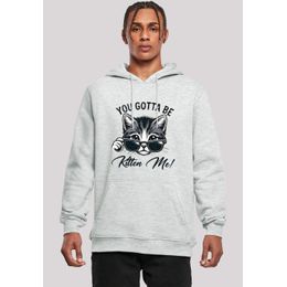 F4NT4STIC Herren Kapuzenpullover "K&auml;tzchen You Gotta Be Kitten Me", grau, Gr. XL, Obermaterial: 65% Baumwolle, 35% Polyester, Pullover, Premium