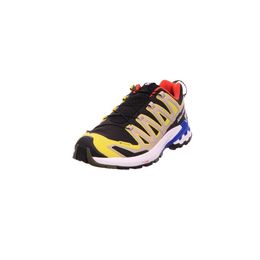 Salomon Flats 'XA PRO 3D V9 GTX' male Mixed colors size 8