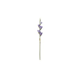 M&ouml;bel Kraft Kunstblume Gladiole lila/violett Kunststoff,Eisendraht Ma&szlig;e (cm): H: 84 &raquo; M&ouml;bel Kraft