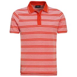 VanVaan Herren Poloshirt mit Streifen