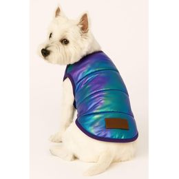 Paws&Whiskers Hundehoodie in Blau/ Lila - 78% | Gr&ouml;&szlig;e L | Tierbedarf-hunde