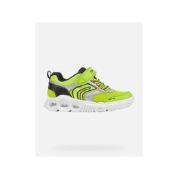 Geox Boy - in Limette/Schwarz | Gr.: 33
