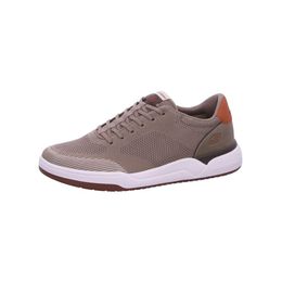 Skechers Sneaker Corliss in Beige | Gr.: 48.5