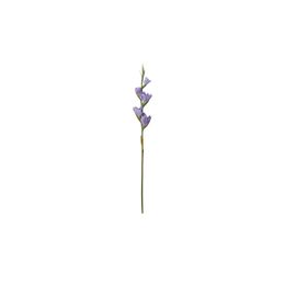 H&ouml;ffner Kunstblume Gladiole lila/violett Kunststoff,Eisendraht Ma&szlig;e (cm): H: 84 &raquo; H&ouml;ffner
