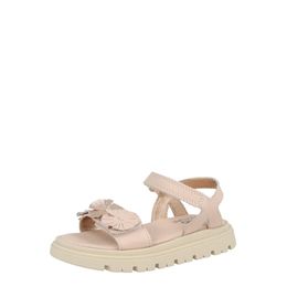 Primigi Sandals girl Pink size 36