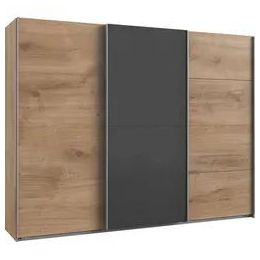 Schwebet&uuml;renschrank wimex "Valencia", grau (plankeneiche nachbildung, glas grau), B:270cm H:210cm T:65cm, Holzwerkstoff, Sicherheitsglas, Schr&auml;nke, Schwebet&uuml;renschrank, mit Glaselementen