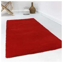 Wollteppich Esprit "Greenwood Rug, ESP-24391", rot, B:120cm H:2mm L:180cm, Wolle, Teppiche, modern, kuschelig aus Schurwolle, pflegeleicht, Wohn-, Schlafzimmer