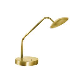 Fischer und Honsel LED-Tischlampe Tallri, messing, H&ouml;he 60 cm, CCT, Touchdimmer