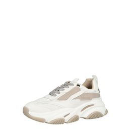 Steve Madden Sneaker 'Possess-3' Herren Gr&ouml;&szlig;e 41 camel / wei&szlig;