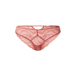 Calvin Klein Underwear Slip 'Instinct' Damen Gr&ouml;&szlig;e L magenta