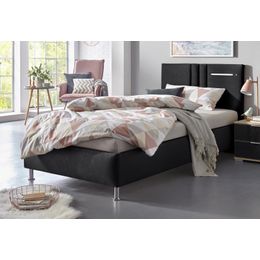 Polsterbett, B:110cm L:210cm, schwarz, Westfalia Schlafkomfort, Bezug Bett: Microfaser (100% Polyester) oder Strukturstoff (77% Polyester, 23%