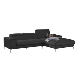 Ecksofa W.Schillig, B:303cm H:70cm T:193cm, grau, Longlife Xtra-Leder Z59: Glattleder mit modischer Pr&auml;gung. Hautst&auml;rke 0, 9 - 1, 1 mm, Wohnzimmer,