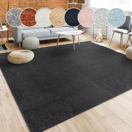 Teppich Paco Home, B:240cm H:13mm L:340cm, schwarz, Obermaterial: 100% Polypropylen, Wohnzimmer, Teppiche, "Porto 890", Kurzflor, Uni-Farben, ideal
