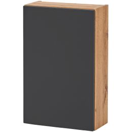 H&auml;ngeschrank Welltime, B:40cm H:64cm T:20cm, grau, Holzwerkstoff, Badezimmer, Schr&auml;nke, "Kaunas", BxTxH: 40x20x64 cm