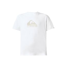 Quiksilver T-Shirt Herren Gr&ouml;&szlig;e L kitt / wei&szlig;