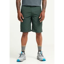 Shorts Jack Wolfskin "DUNELAND SHORTS M", Herren, Gr. 48, Normalgr&ouml;&szlig;en, sagopalm, Obermaterial: 100% POLYAMID. Futter: 100% POLYESTER, Hosen Shorts