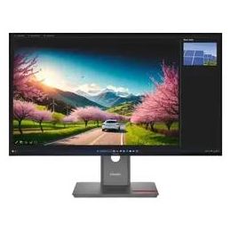 Lenovo ThinkVision P32UD-40 31,5 UHD Thunderbolt-Monitor