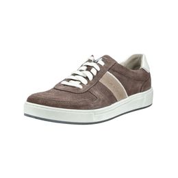 Pius Gabor Herren Sneaker "Pius Gabor Sneaker Veloursleder", Gr. 42braun, beige, Veloursleder, Schuhe