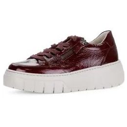 Plateausneaker Gabor, Damen, Gr. 38, rot (bordeaux), Lackleder, gl&auml;nzend, Schuhe Plateausneaker, Freizeitschuh, Halbschuh, Schn&uuml;rschuh mit gepolstertem Schaftrand