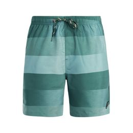 Protest Board Shorts 'PRTLomond' male Green size XS