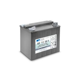K&auml;rcher Batterie 12 V / 25 Ah, wartungsfrei.