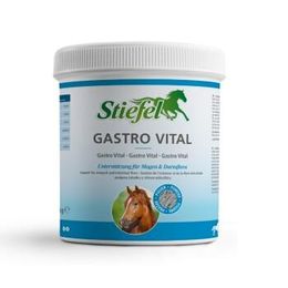 Stiefel Gastro Vital 1 kg