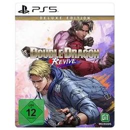 Double Dragon: Revive - Deluxe Edition [PlayStation 5]