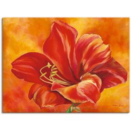 Artland &raquo;Amaryllis&laquo; Blumen 1 Stk. tlg. auf Holzrahmen gespannt rot Leinwand