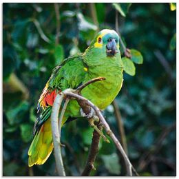 Artland &raquo;Blaustirnamazone&laquo; V&ouml;gel 1 Stk. tlg. in verschiedenen Gr&ouml;&szlig;en beige