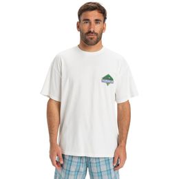 Quiksilver Herren T-Shirt &raquo;Crystal Jet&laquo; wei&szlig; S