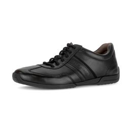 Pius Gabor Herren Sneaker , Freizeitschuh, Halbschuh, Schn&uuml;rschuh mit Logopr&auml;gung, G-Weite 7,5 (41)