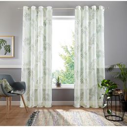 my home Gardine &raquo;Paula&laquo; &Ouml;sen 1 Stk. tlg. Halbtransparent, Voile, Polyester gr&uuml;n Voile, Polyester