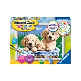 Ravensburger Malen nach Zahlen-Set "S&uuml;&szlig;e Hundewelpen" - ab 7 Jahren - 14% | Kinder-kreativspielzeug