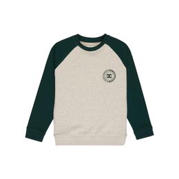 DC Shoes Jungen DC Shoes Sweatshirt &raquo;DC Corpo Raglan&laquo; 16(165-172cm)