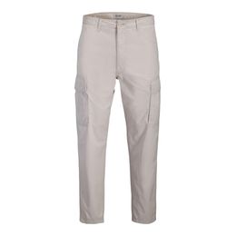 Jack & Jones Jack & Jones Pants 'Jpstkane Frank' male Grey size 32