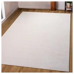 Teppich OTTO HOME "Pieter" Gr. 7, beige (cream), B:240cm H:9mm L:320cm, Kunstfaser, Teppiche, Teppich, mit besonders weichem Flor, Kurzflor, Design-Teppich, Melange-Effekt