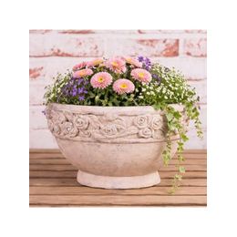 AltoBelli Blumentopf ROSARIO Schale Beige mit Rosen Rund Zement 27x16 cm | Gr.: onesize